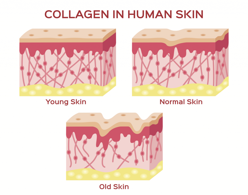 All About Collagen Supplements - The Dermatology Review