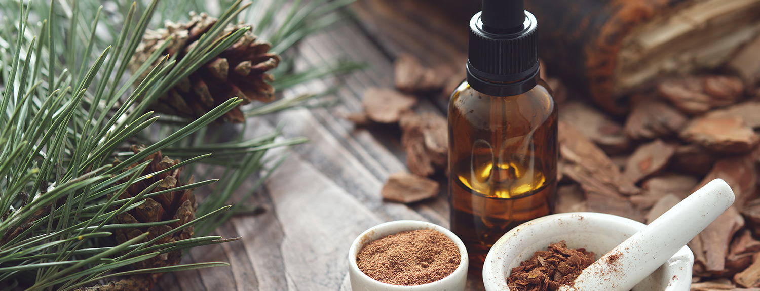 Bark Extracts in Skin Care - The Dermatology Review