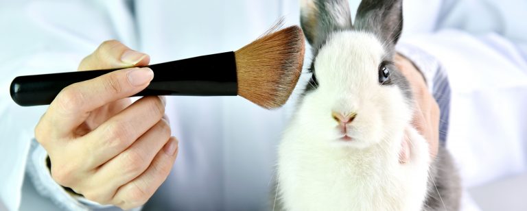 50 Brands That Test on Animals: Avoid These Products and Companies